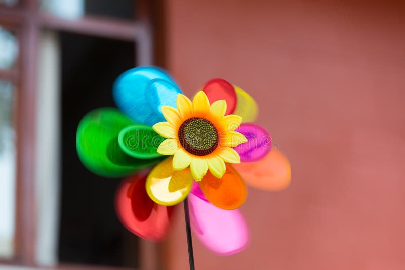 Wind rose stock image. Image of flower, colors, sunflower - 105076301