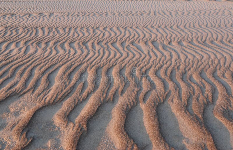 Wind-sculpted Sand Patterns at Sunset. Stock Photo - Image of mudflat ...