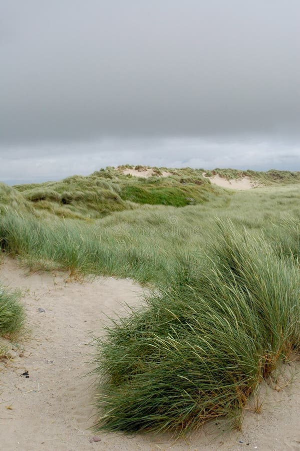 Wind Storm Picture. Image: 6018778