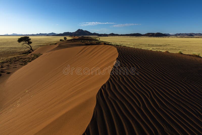 Wind Swept Red Sand Dune in Namib Desert Stock Image - Image of sand ...