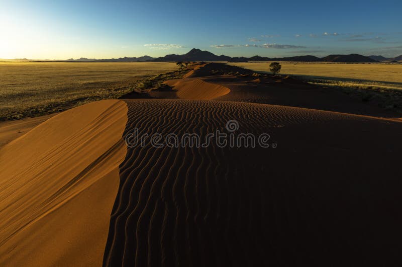 Wind Swept Patterns on Red Sand Dune Stock Photo - Image of tiras ...