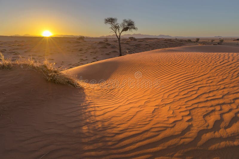Wind Swept Patterns on Red Sand Dune Stock Photo - Image of outdoors ...