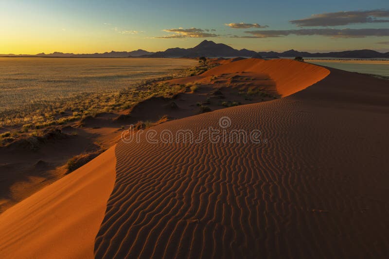 Wind Swept Patterns in the Sand on the Dune Stock Image - Image of ...
