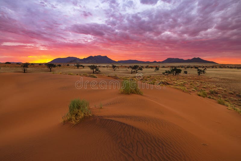 Wind Swept Patterns on the Sand Dunes at Sunset Stock Image - Image of ...