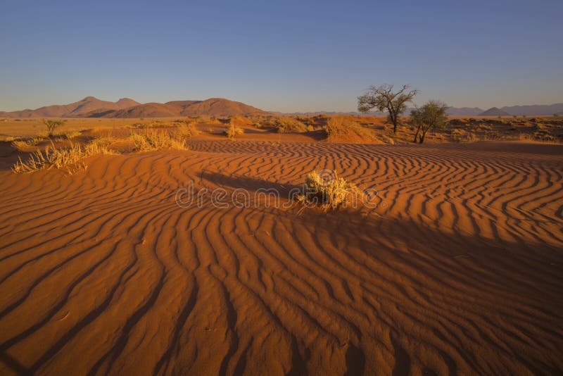 Wind Swept Red Sand Dune in Namib Desert Stock Image - Image of sand ...