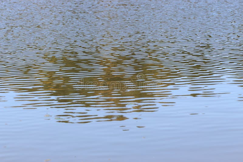 Wind Texture on the Surface of the Lake Stock Image - Image of clear ...