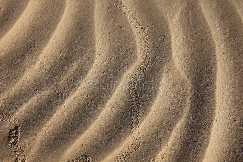 Wind textures on sand stock image. Image of africa, desert - 83768589