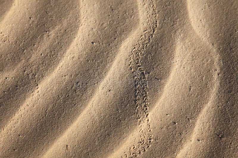 Wind textures on sand stock image. Image of nature, orange - 83768567