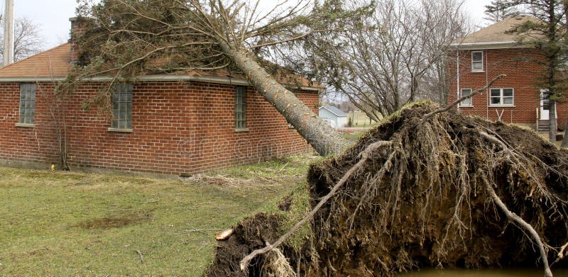 Tornado Damage with a Pine Tree on a House Stock Image - Image of wind ...