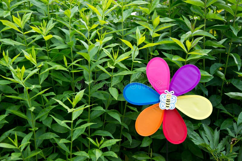 Wind toy stock photo. Image of summer, nature, flowers - 25546734