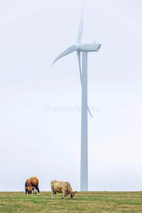 Wind Turbine in the Countryside Stock Photo - Image of landscape ...