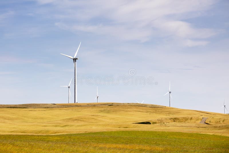 Wind Turbine Farm and a Real Farm, Alberta Canada during Summertime ...