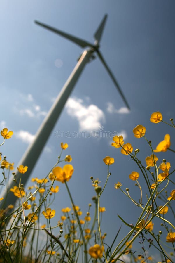 Wind Turbine in Field Flowers Stock Image - Image of country, sunny ...
