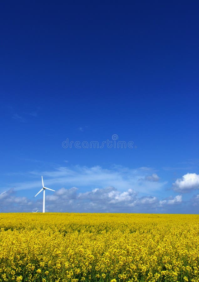 Wind turbine on field stock photo. Image of western, blue - 135900
