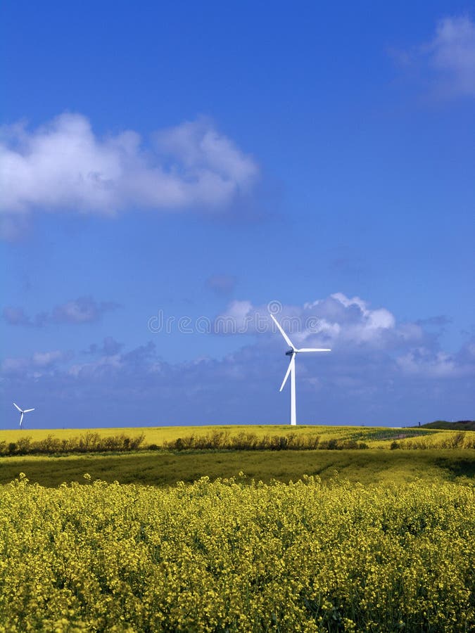 Wind turbine on field stock photo. Image of scenic, danish - 135904