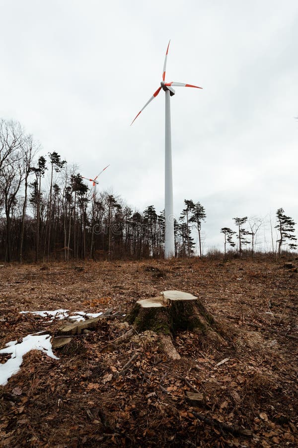 Wind Turbine Station in Destroyed and Deforested Forest with Tree Stump ...