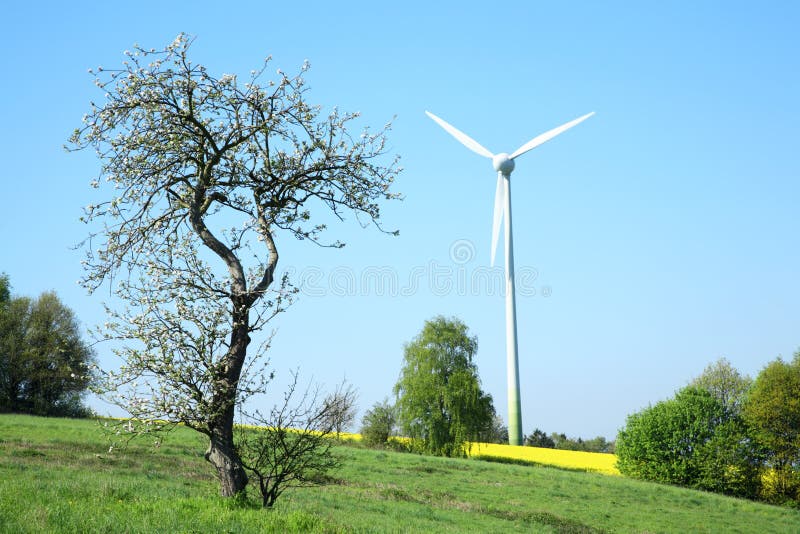 Wind turbine and tree. stock image. Image of hill, blue - 5091713