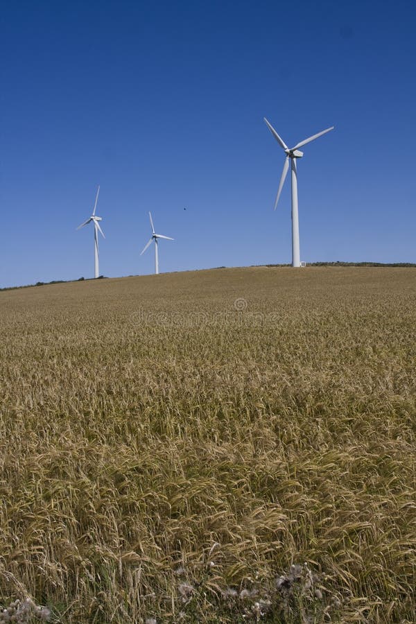 Wind turbines stock image. Image of anglesey, farm, crop - 10484155