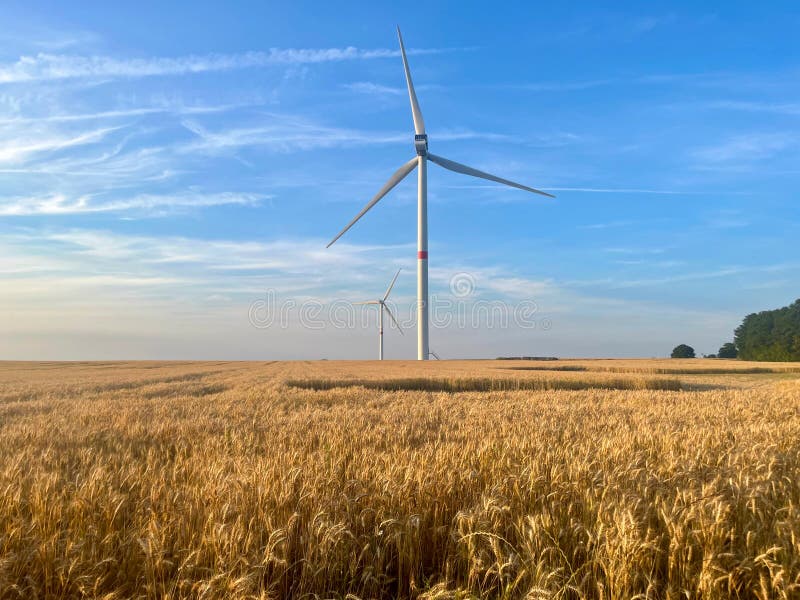 Wind Turbines Against the Backdrop of Sunset Over a Wheat Field Stock ...