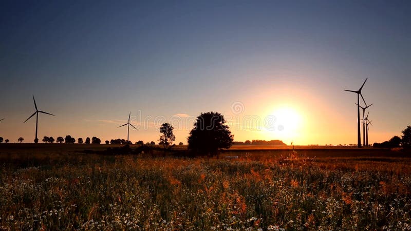 Wind Turbines Spinning Near the Coast Stock Footage - Video of coast ...