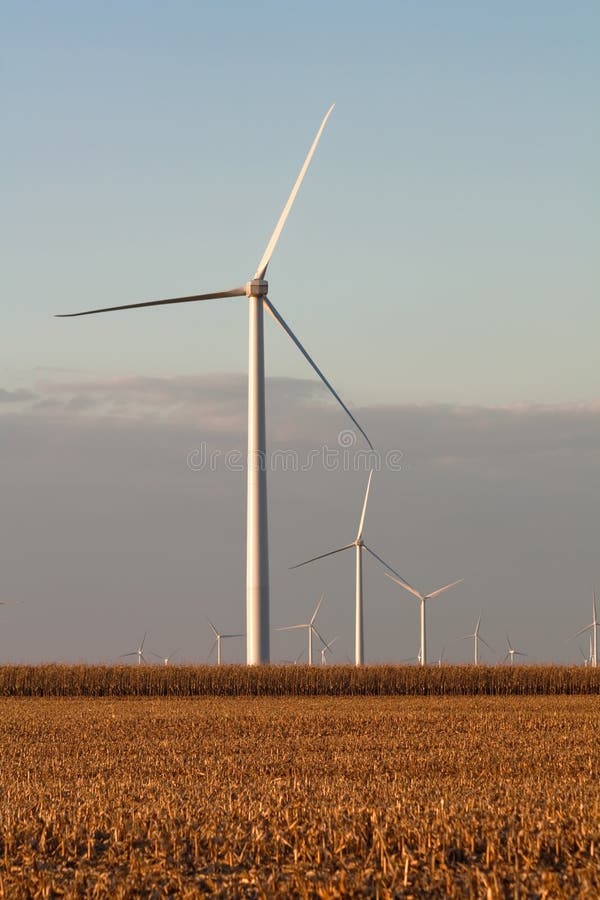 Wind Turbines in a Corn Field Vertical Stock Image - Image of cornfield ...