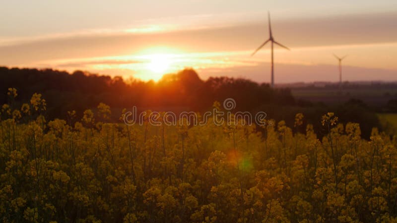 Wind Turbines, Wind Farms Producing Green Renewable Energy for the ...