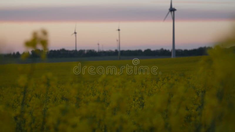 Wind Turbines, Wind Farms Producing Green Renewable Energy for the ...