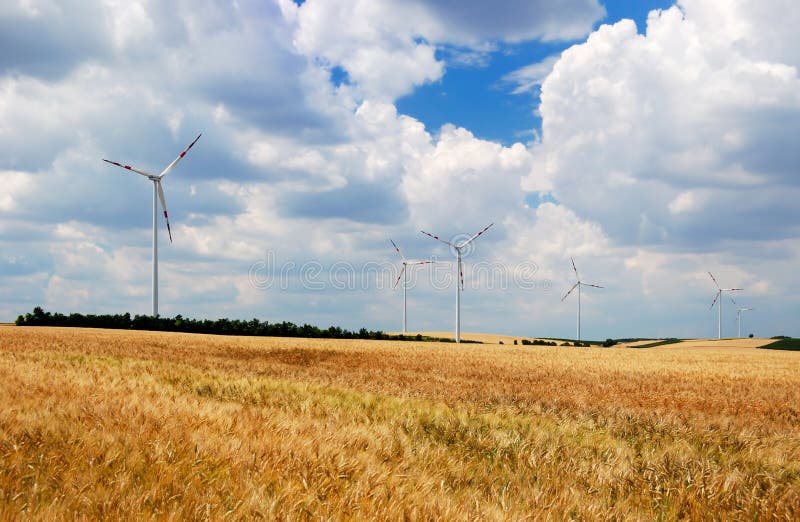 Wind turbines in a field stock photo. Image of harvest - 8820148