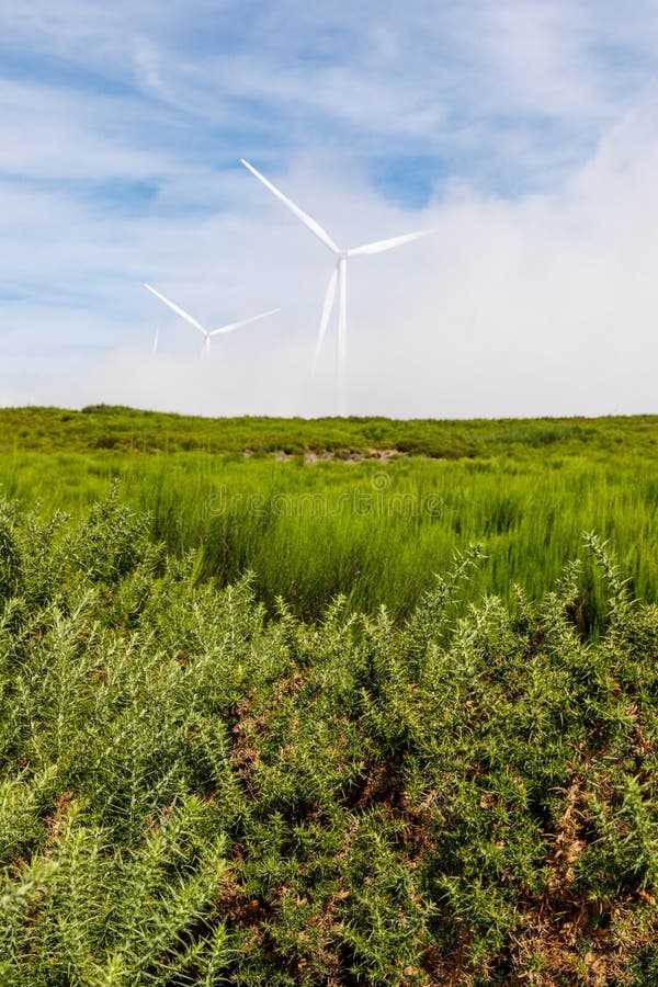 Wind Turbines Generate Electricity in a Green Meadow. Stock Photo ...