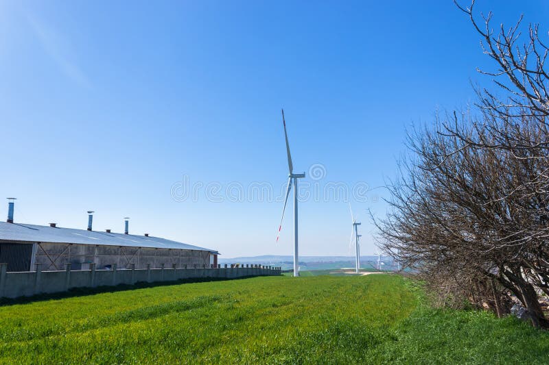 Wind Turbines Generating Energy from the Wind, in Nature, Clear Blue ...