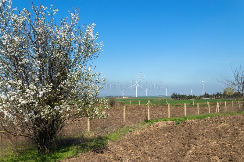 Wind Turbines Generating Energy from the Wind, in Nature, Clear Blue ...