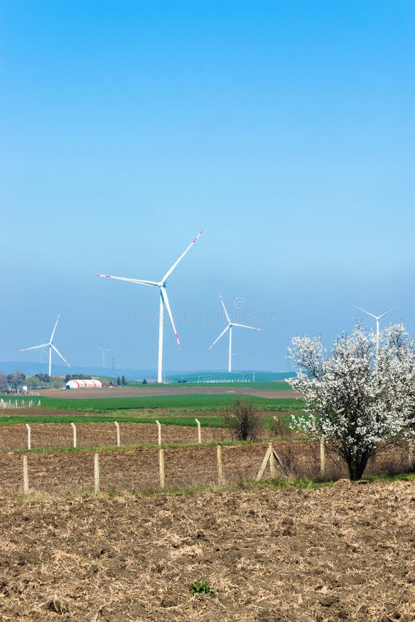 Wind Turbines Generating Energy from the Wind, in Nature, Clear Blue ...