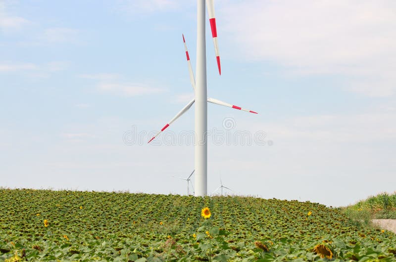 Wind turbines green energy stock photo. Image of electric - 265955876