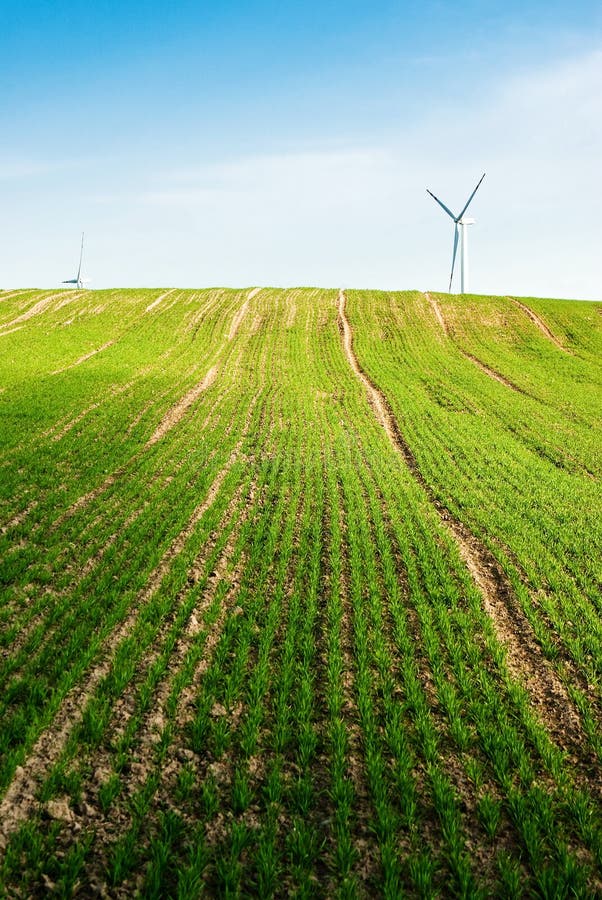 Wind turbines green field stock image. Image of green - 24791867