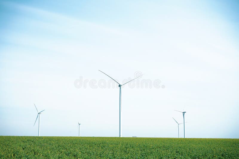 Wind Turbines in a Green Grass Field. Beautiful Spring Greenery Stock ...