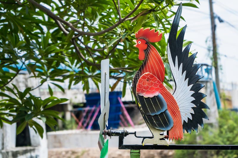 Wind Turbines Have Chicken Stand on Top Stock Photo - Image of ...