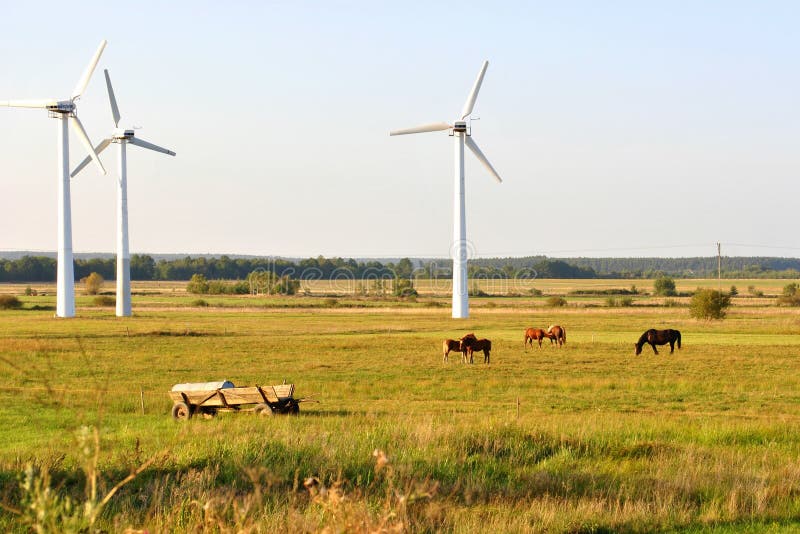 Horses and wind turbines stock image. Image of turbines - 5165089