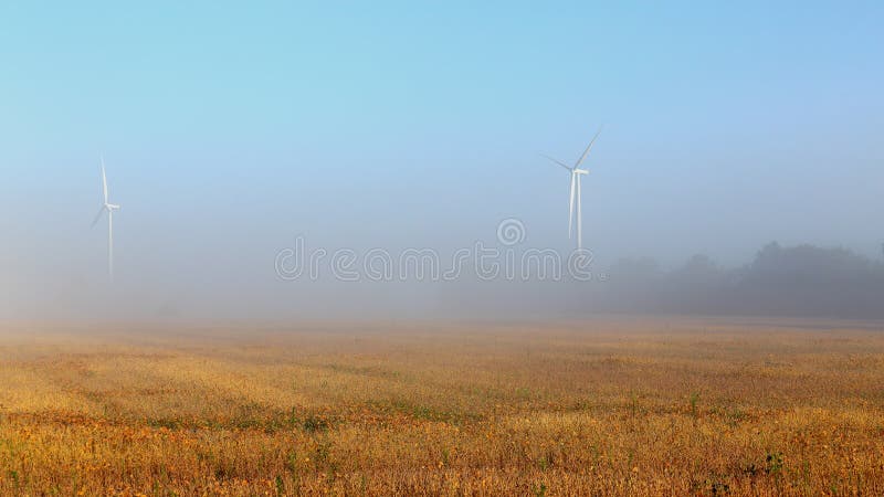 Wind Turbines in the Mist at Dawn Stock Photo - Image of technology ...