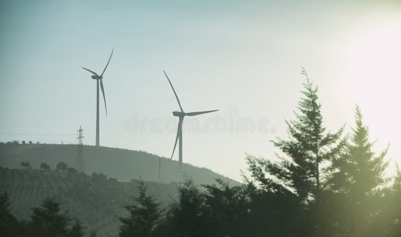 Wind Turbines and Pine Trees, Hatay, Turkey Stock Image - Image of pine ...