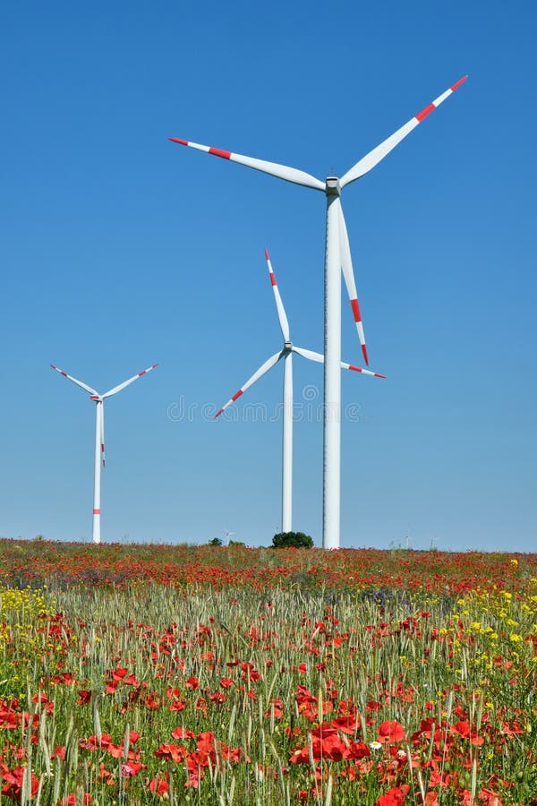 Wind Turbines and Red Poppy Flowers Stock Photo - Image of colorful ...