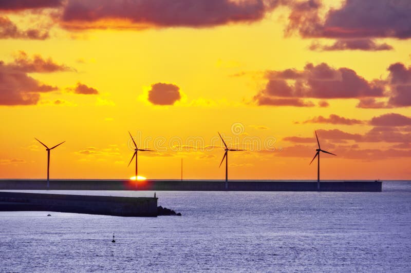 Cruise Sip MSC Magnifica of MSC Cruises Passes Offshore Wind Turbines ...