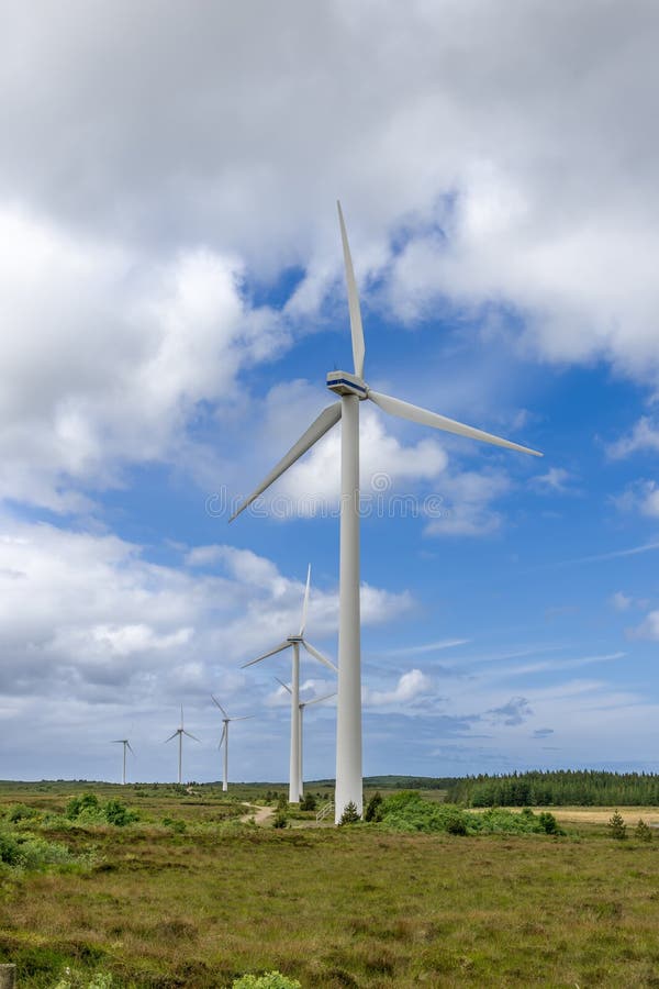 Wind Turbines Stretch into the Horizon Under a Vast Sky and Over Green ...
