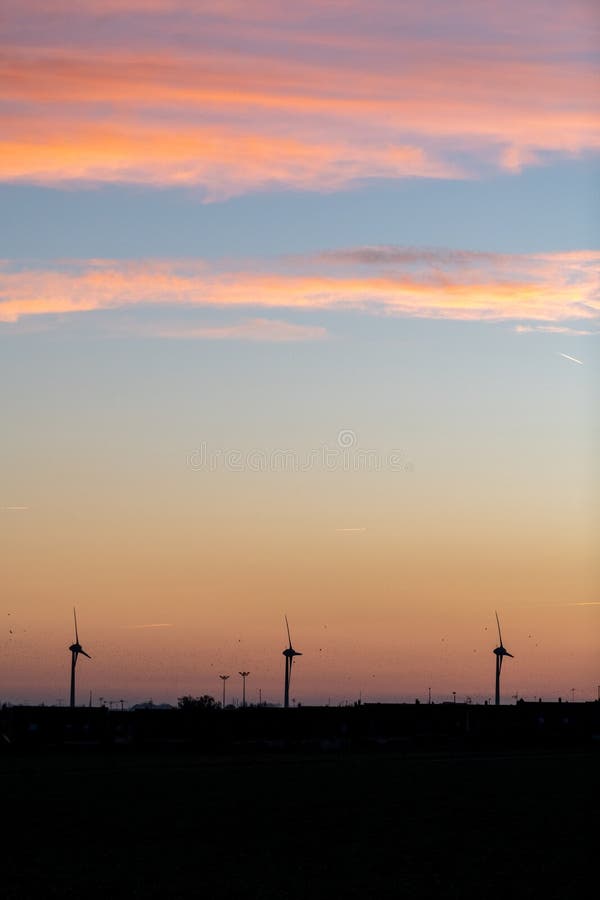 Wind turbines at sunset stock image. Image of conservation - 244051497