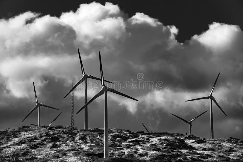The Wind Turbines are a Symbol of Unity, a Collective Effort To Create ...