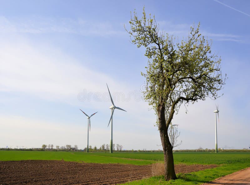 Wind turbines and a tree stock image. Image of consumption - 30735073