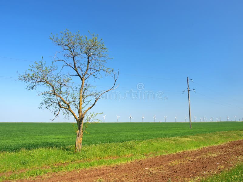 Wind-turbines And A Tree On A Green Field Stock Image - Image of ...