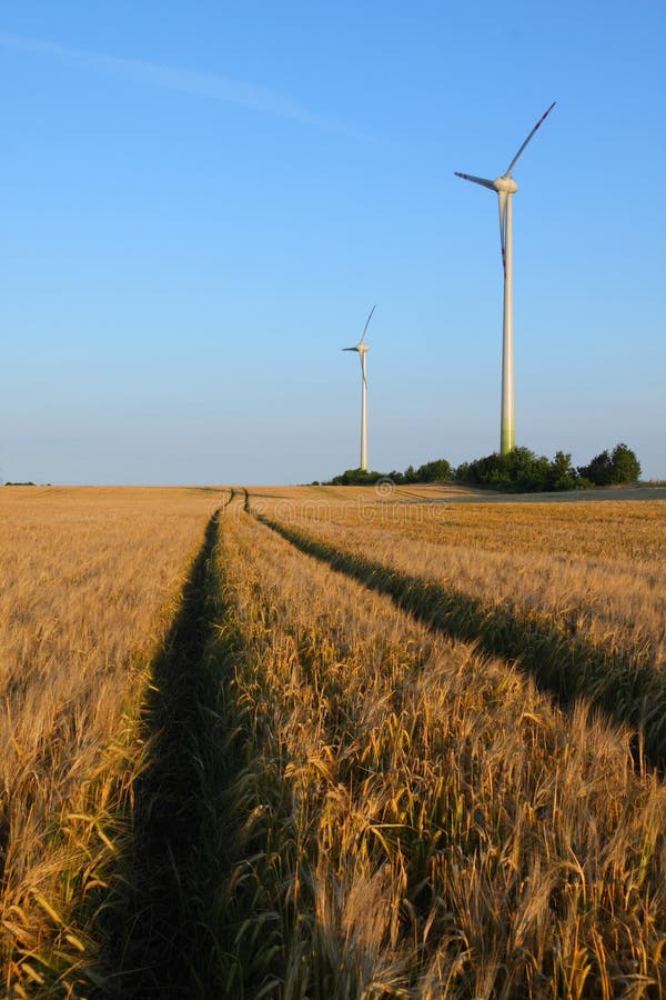Wind Turbines on Wheat Field Stock Image - Image of energy, environment ...