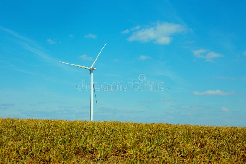 Wind Turbines in a Wheat Field. Stock Image - Image of mill, food ...