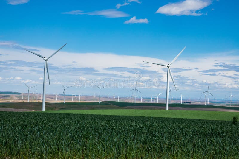 Wind Turbines and Wheat Fields in Eastern Oregon Stock Photo - Image of ...