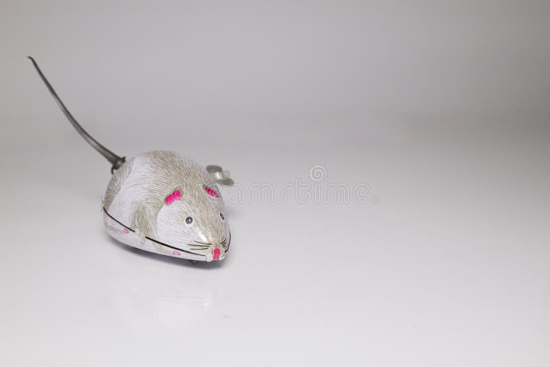 Wind up mouse stock image. Image of metal, mouse, mechanical - 12084273
